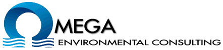 Chief Executive Officer - Omega Environmental Consulting
